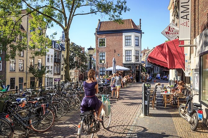 Private Excursion to Utrecht and Haar Castle - Summary of Highlights and Drawbacks