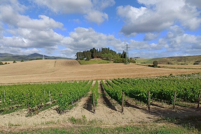 PRIVATE EXCURSION: Visit Siena & Chianti with lunch and tastings - The Sum Up