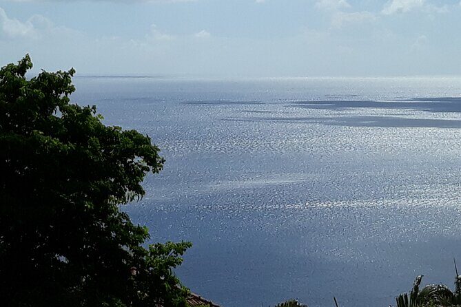 Private excursions à la carte in Martinique - The Itinerary: A Closer Look