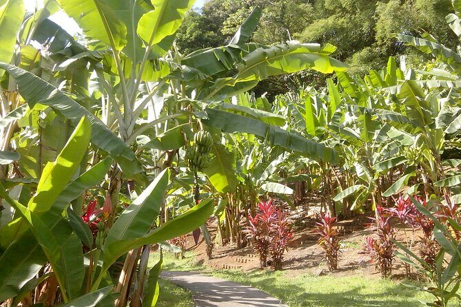 Private excursions à la carte in Martinique - Why Choose a Private Custom Tour?