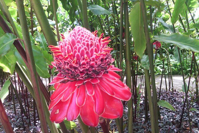 Private excursions à la carte in Martinique - Frequently Asked Questions