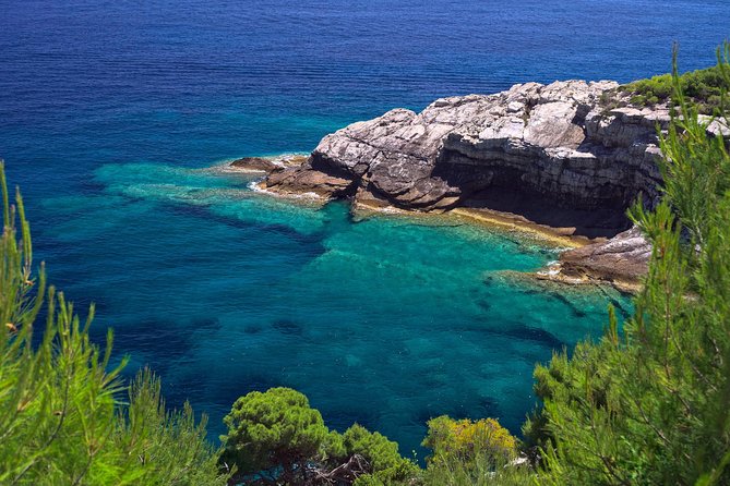 Private Excursions With 2019 Quicksilver 675 Speedboat - Hear From Satisfied Travelers