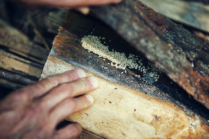 Private Experience in Wildlife Survival School in Bulgaria - Booking and Additional Information