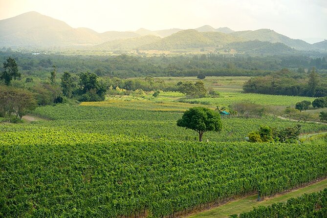 Private Experience of Wine Tasting Hua Hin in Monsoon Valley - Who Should Consider This Tour?