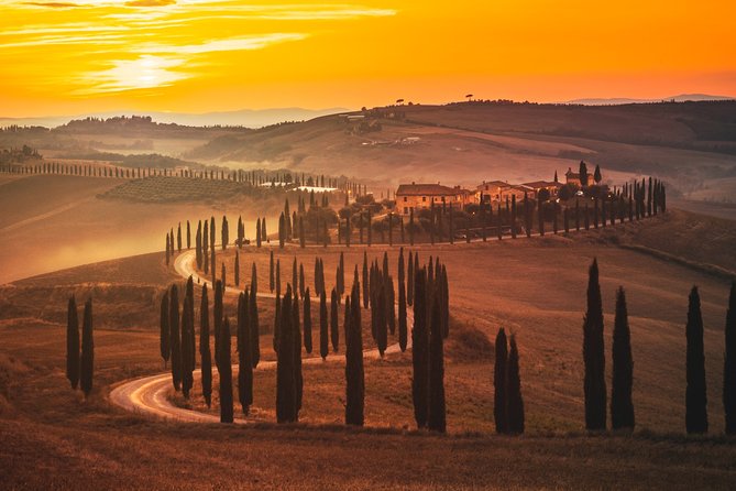 Private Experience Tuscany Tour from Rome - Who Will Love This Experience?