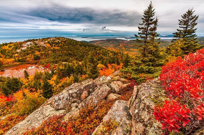 Private Exploration Tour of the Top Spots of Acadia - Exploring the Itinerary in Detail