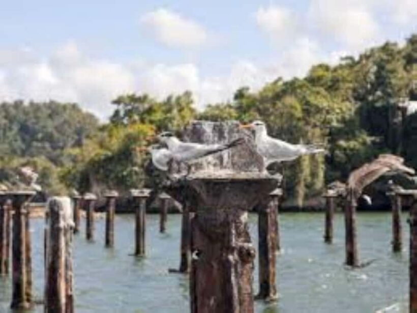 Private: Explore Los Haitises National Park Day Trip - Key Points