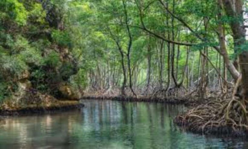 Private: Explore Los Haitises National Park Day Trip - FAQ