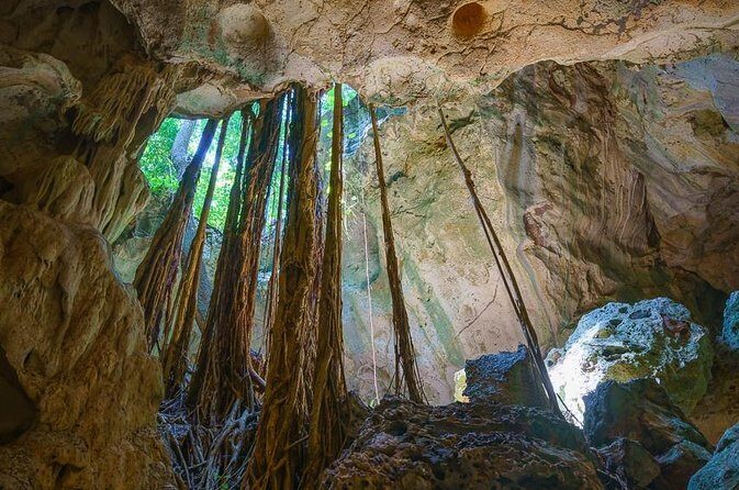 Private Exploring Tour in Green Grotto Caves and Rafting on the Martha Brae - Key Points