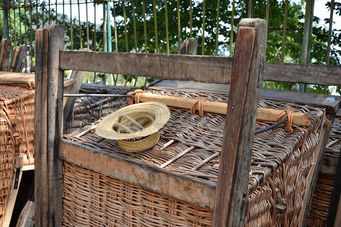 Private Express Tuk Tuk Tour Funchal Old Town & Toboggans - Exploring Funchal Old Town by Tuk Tuk