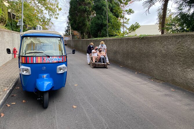 Private Express Tuk Tuk Tour Funchal Old Town & Toboggans - Host Responsiveness and Continuous Improvement