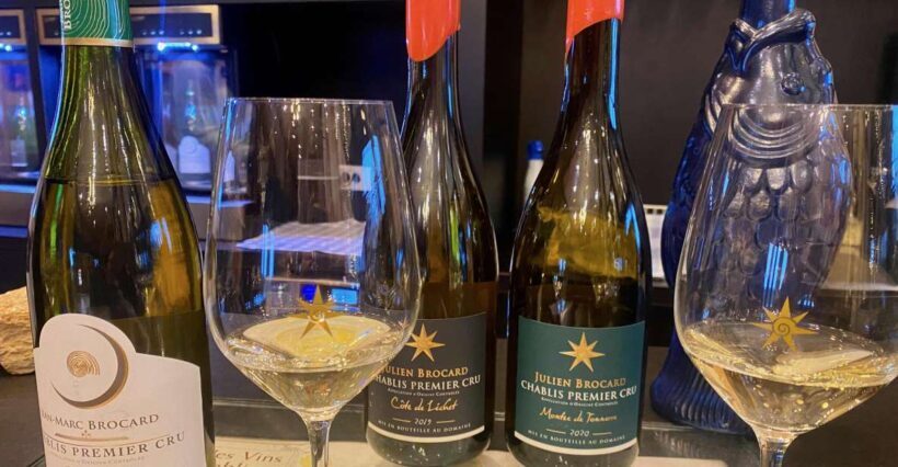 Private Exquisite Red & White Burgundy Wines Trip from Paris - A Practical Overview of What to Expect