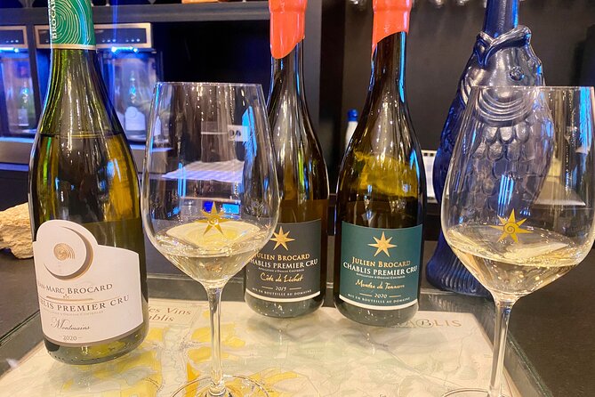 Private Exquisite Red & White Burgundy Wines Trip from Paris - A Detailed Look at the Private Burgundy Wine Tour from Paris