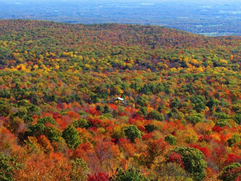 Private Fall Foliage Helicopter Tour of the Hudson Valley - Who Will Love This Tour?