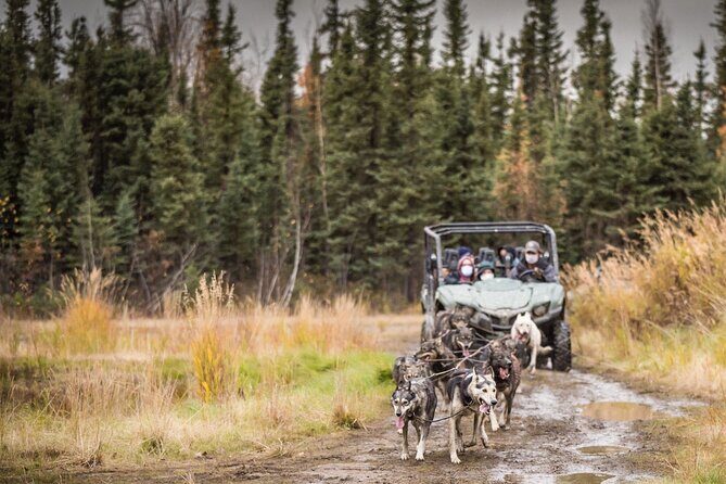 Private Fall Foliage Mushing Cart Ride in Fairbanks - What Is the Tour All About?