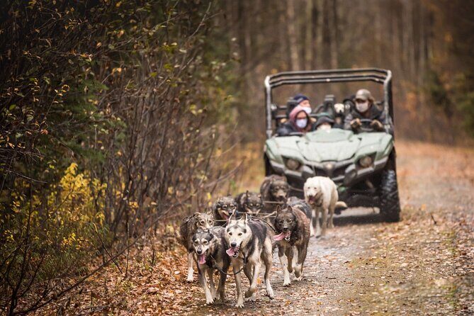 Private Fall Foliage Mushing Cart Ride in Fairbanks - The Guide and What You’ll Learn