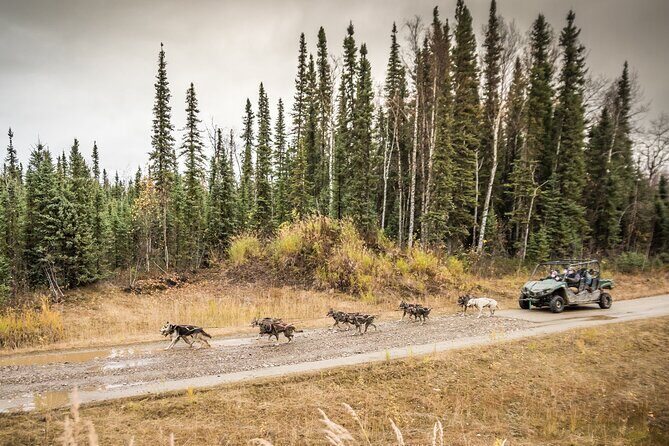 Private Fall Foliage Mushing Cart Ride in Fairbanks - Cancellation Policy