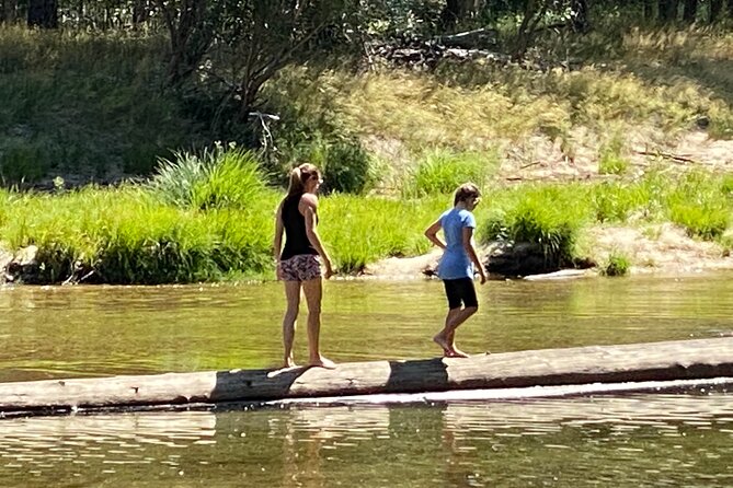 Private Family Photo Day in Yosemite - Pricing and Booking Information