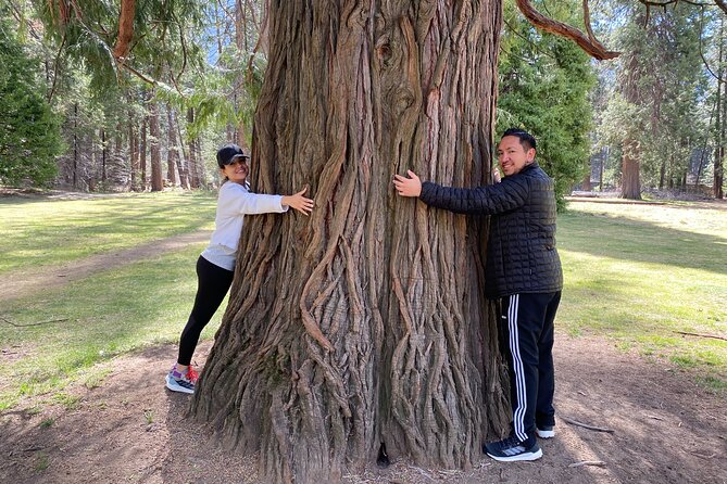 Private Family Photo Day in Yosemite - Accessibility Features for All Travelers
