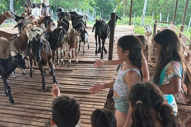 Private Farm-to-Table Dominican Cooking Class near Punta Cana - Key Points