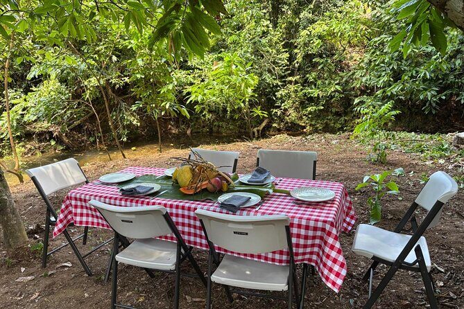 Private Farm-to-Table Dominican Cooking Class near Punta Cana - An In-Depth Look at the Experience