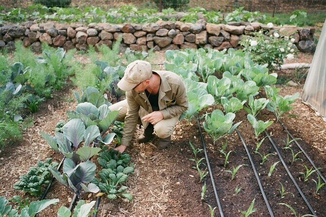 Private Farm Workshop in Napa Valley - FAQ about the Farm Workshop
