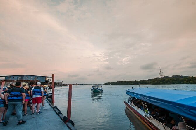 Private Fireflies Tour with Blue Tears and Seafood Dinner - Key Points