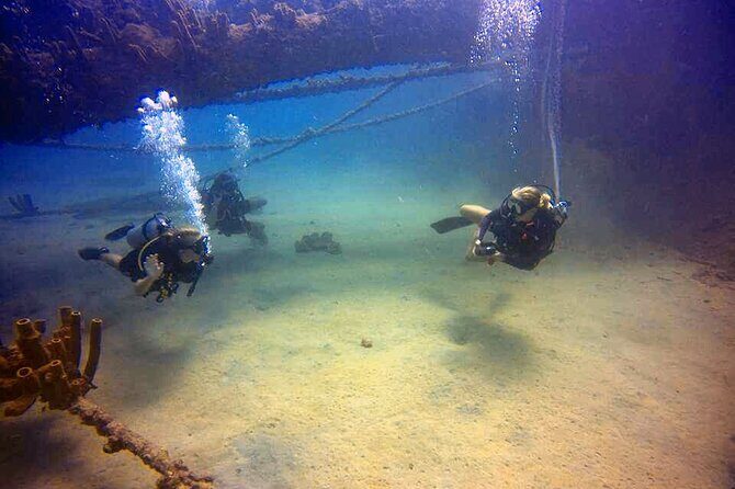 Private First-Time Dive on Arubas Reef and Wreck Site - What to Expect During the Dive