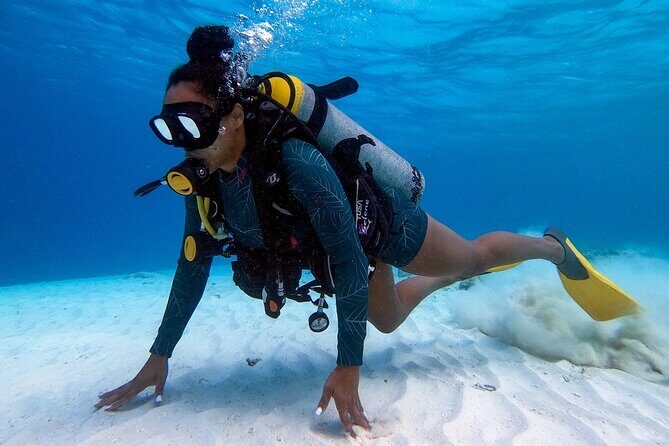 Private First-Time Dive on Arubas Reef and Wreck Site - Practical Details: Transportation, Duration, and Cost