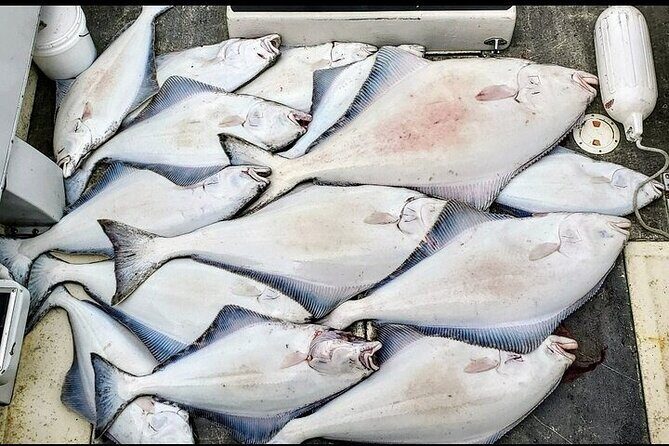 Private Fishing Adventure in Icy Strait Hoonah Alaska - A Practical Overview of the Private Fishing Trip in Icy Strait