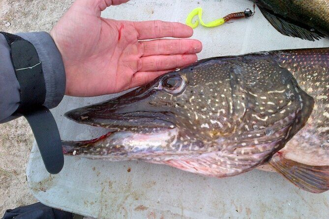 Private Fishing Adventure on the St. Lawrence River - In The Sum Up: Is It Worth It?