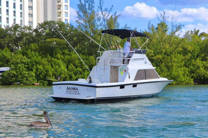Private fishing charter 31 feet for maximun 6 people - Who Should Book This?