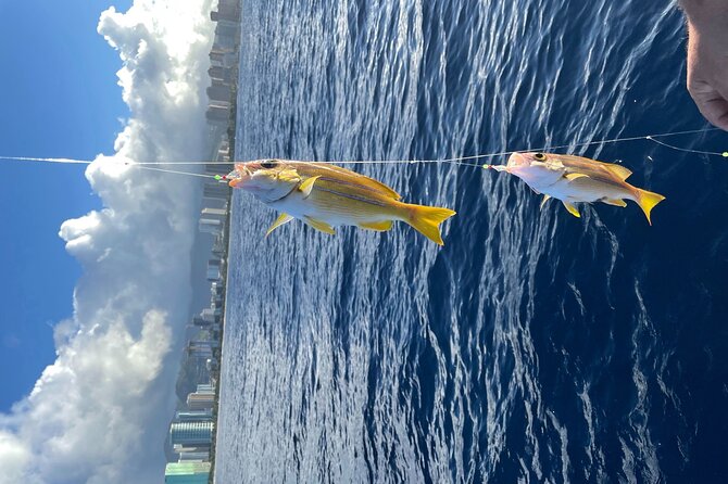Private Fishing Charter for Family and Friends in Honolulu - Participant Guidelines and Accessibility