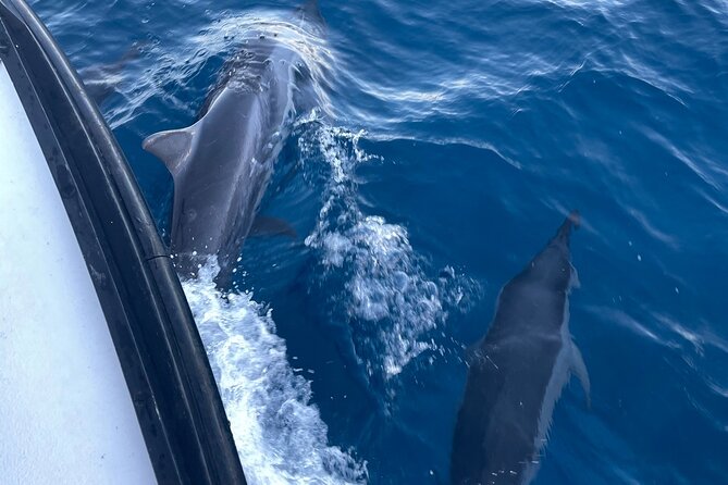 Private Fishing Charter for Family and Friends in Honolulu - Testimonials From Happy Customers