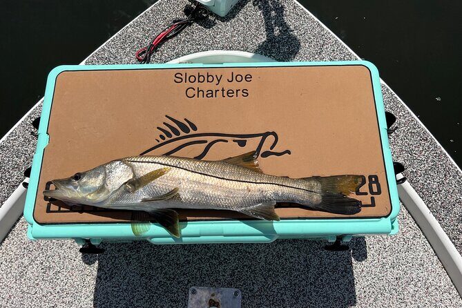 Private Fishing Charter in Tampa - FAQ