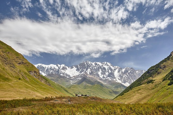 Private Five Days Tour to Svaneti-Mestia, Ushguli, Becho,Chalaadi - Guest Reviews and Experiences