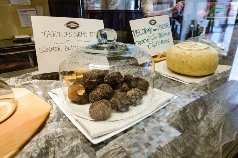 Private Flavors of Florence Walking Tour(Food&Wine Included) - Final Thoughts