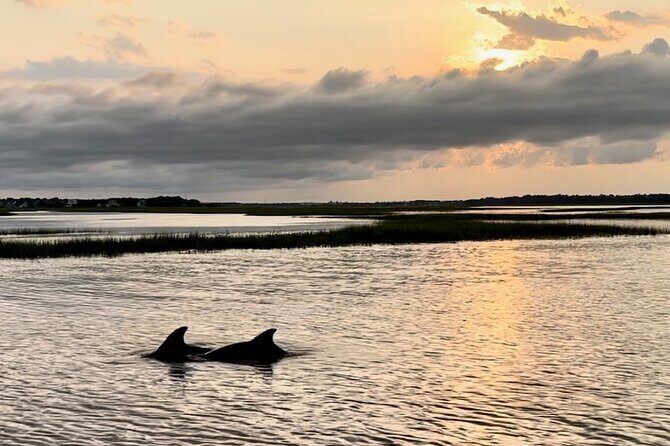 Private Folly River Sunset Dolphin Cruise - Key Points