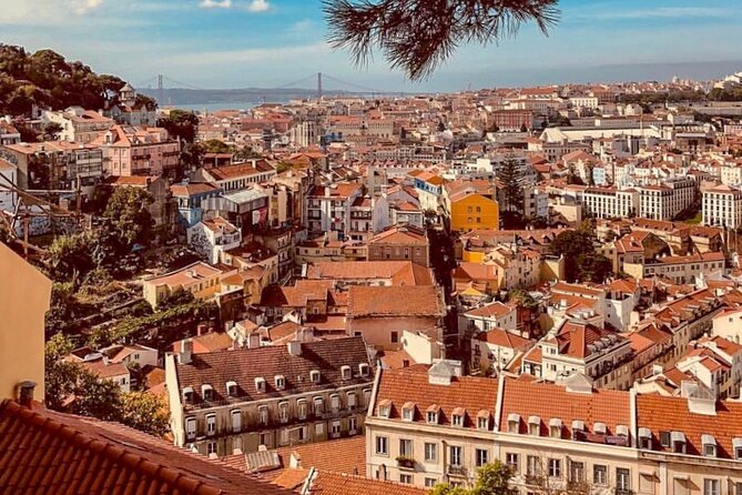 Private Food and Wine Tour: From Street to Gourmet - Accessibility and Meeting Logistics