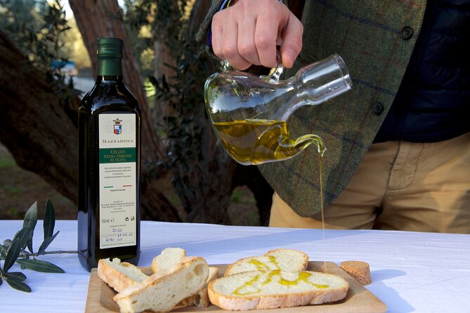 Private Food and Wine Tour in the Cellar With Tastings - Memorable Moments and Shared Experiences