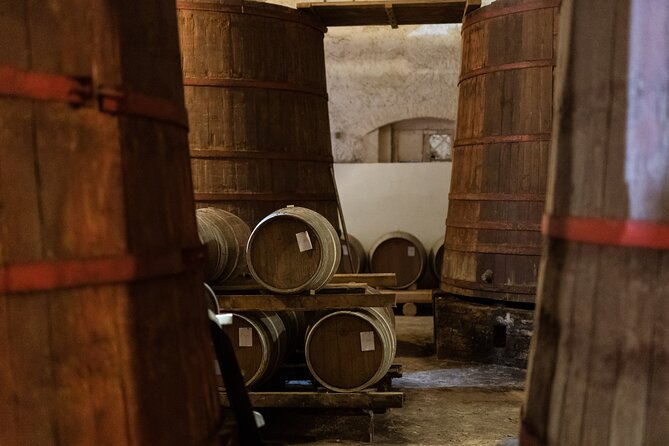 Private Food and Wine Tour in the Cellar With Tastings - Practical Information and Accessibility