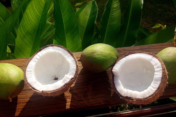 Private Food Tour of Martinique in Fort-de-France - FAQ