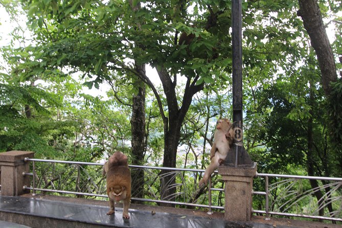 Private food Tour + Sightseeing +Thai Cooking class - Thai Cooking Class: Skills and Recipes for Your Kitchen