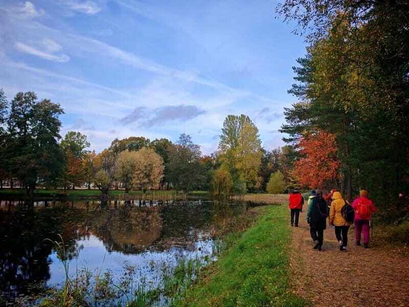 Private Forest Mind Tour in Tampere - The Experience in Detail