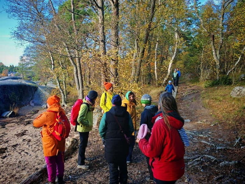 Private Forest Mind Tour in Tampere - Why This Tour Works Well for Travelers