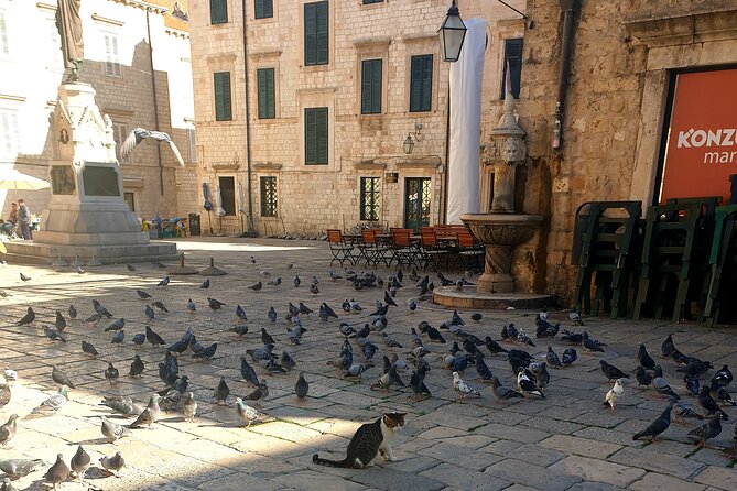 Private Fort Lovrijenac and Dubrovnik City Tour - Who Should Consider This Tour?