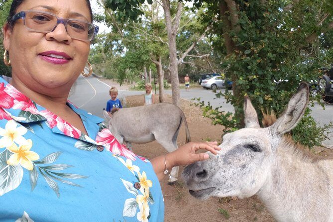 Private Four Hour Historic/Beach Tour with Star Fish Tours & Taxi - FAQ