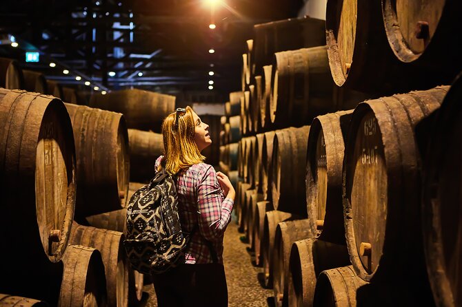 Private Frascati Day Trip With Lunch & Wine Tasting in a Vineyard - Highlights of the Frascati Day Trip Itinerary