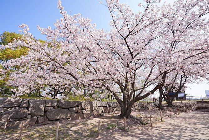 Private Fukuoka Tour With a Local, Highlights & Hidden Gems 100% Personalised - Personalizing Your Fukuoka Adventure