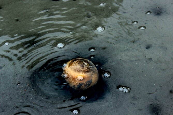 Private Full-Day 4x4 Tour to Furnas Volcano - Traveler Experiences and Testimonials